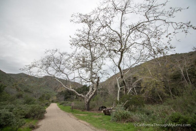 Solstice Canyon Trail: Exploring the Waterfall and Ruins - California ...