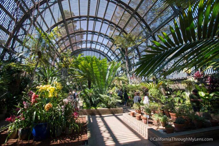 Botanical Gardens Building in Balboa Park, San Diego - California ...