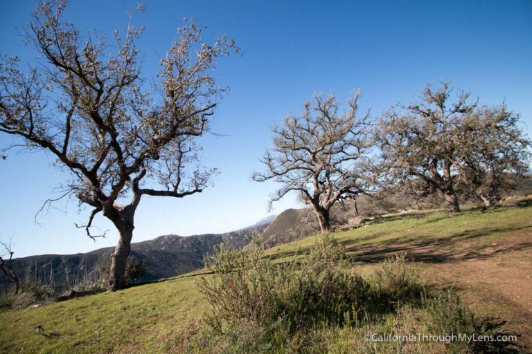 Three Sisters Falls: San Diego County's three Tiered Seasonal Waterfall ...