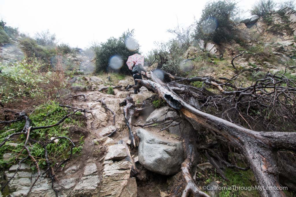 Trail Canyon Falls: A 40 Foot Waterfall in Angeles National Forest ...