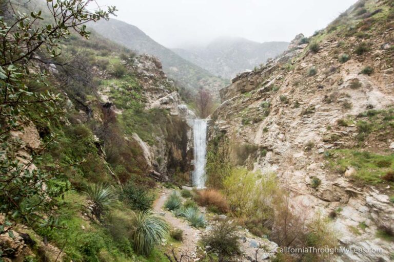 Trail Canyon Falls: A 40 Foot Waterfall in Angeles National Forest ...