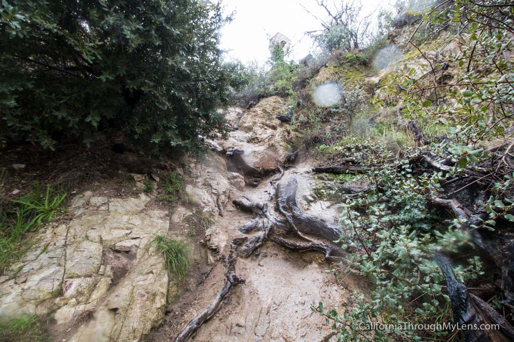 Trail Canyon Falls: A 40 Foot Waterfall in Angeles National Forest ...