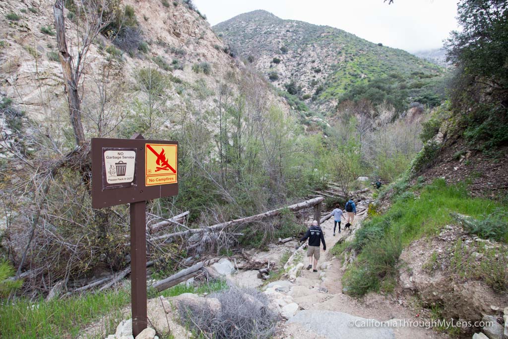 Trail Canyon Falls: A 40 Foot Waterfall in Angeles National Forest ...