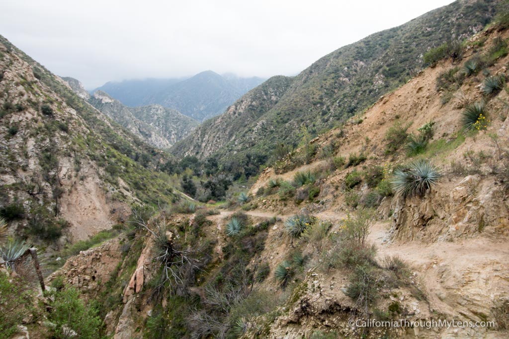 Trail Canyon Falls: A 40 Foot Waterfall in Angeles National Forest ...