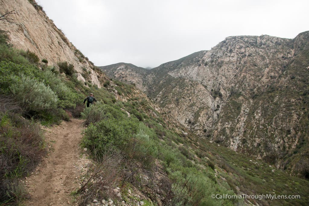 Trail Canyon Falls: A 40 Foot Waterfall in Angeles National Forest ...