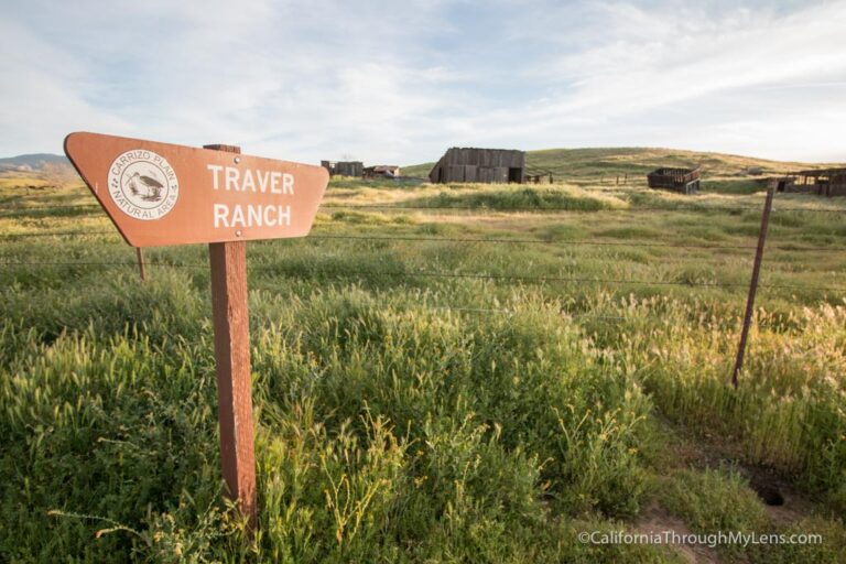 Carrizo Plain National Monument: Soda Lake, Finding Wildflowers ...
