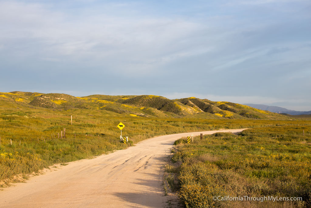 Carrizo Plain National Monument: Soda Lake, Finding Wildflowers ...