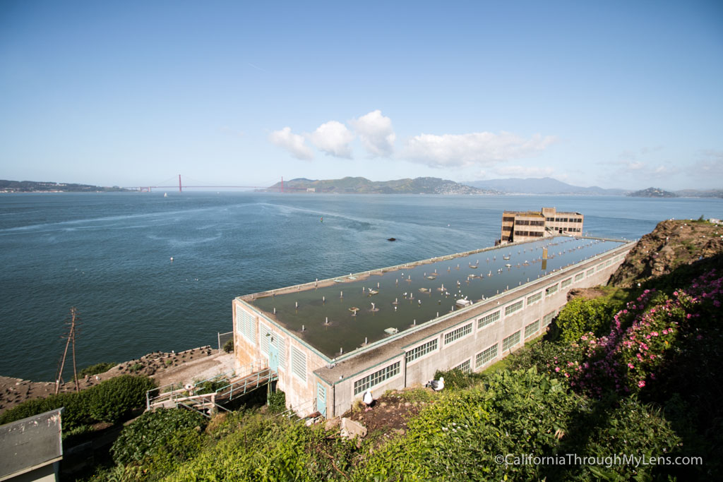 Alcatraz: Touring San Francisco's Infamous Island - California Through ...