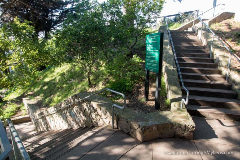 Coit Tower: San Francisco's Historic Viewpoint - California Through My Lens