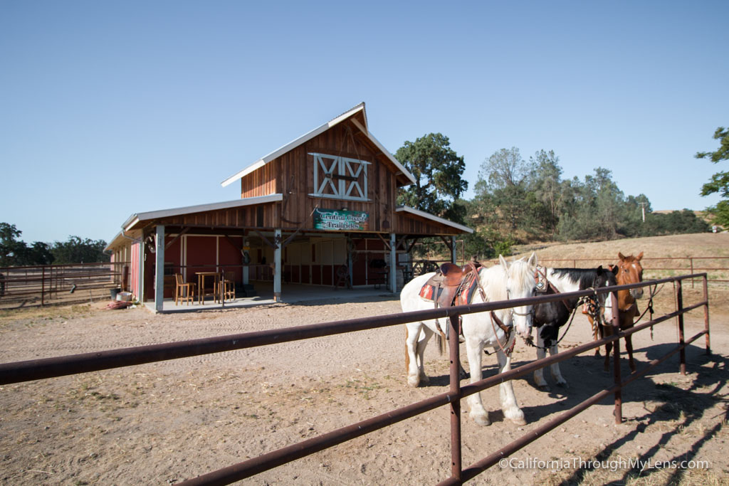 Horsetail Ranch: A Luxury Vacation Rental in Creston, Near Paso Robles ...