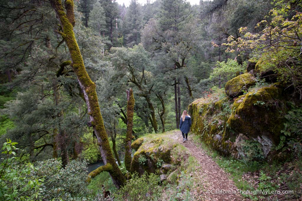 Potem Creek Falls: A 60 Foot Waterfall Near Burney - California Through ...