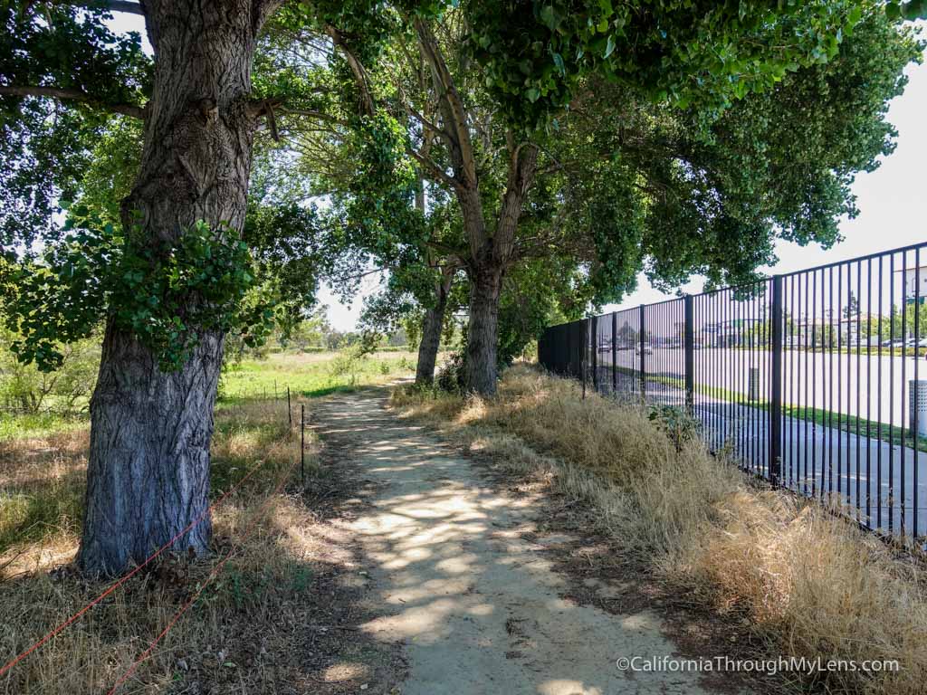 Madrona Marsh Preserve Hike in Torrance - California Through My Lens