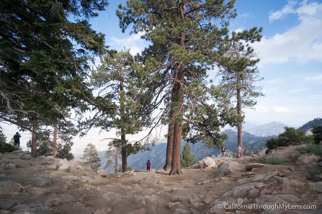 Desert View Trail in the San Jacinto Wilderness from Palm Springs Tram ...