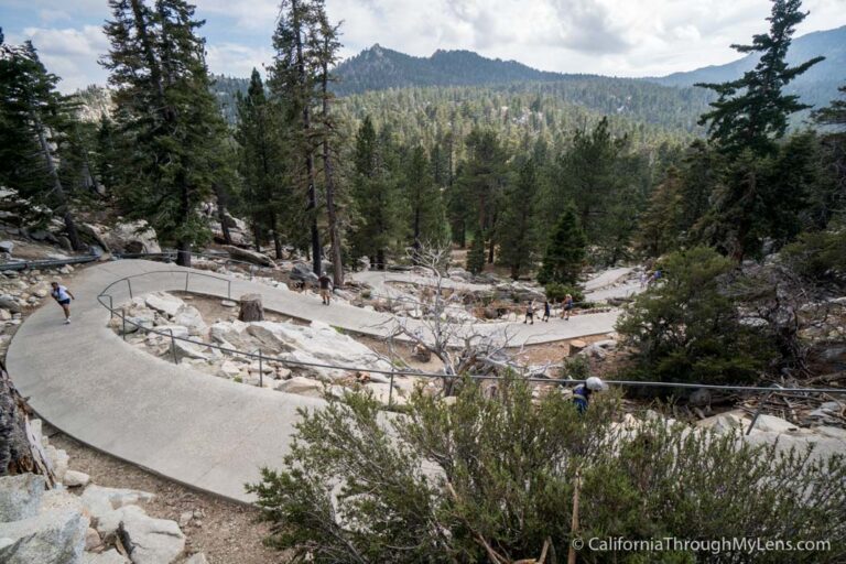 Desert View Trail in the San Jacinto Wilderness from Palm Springs Tram ...