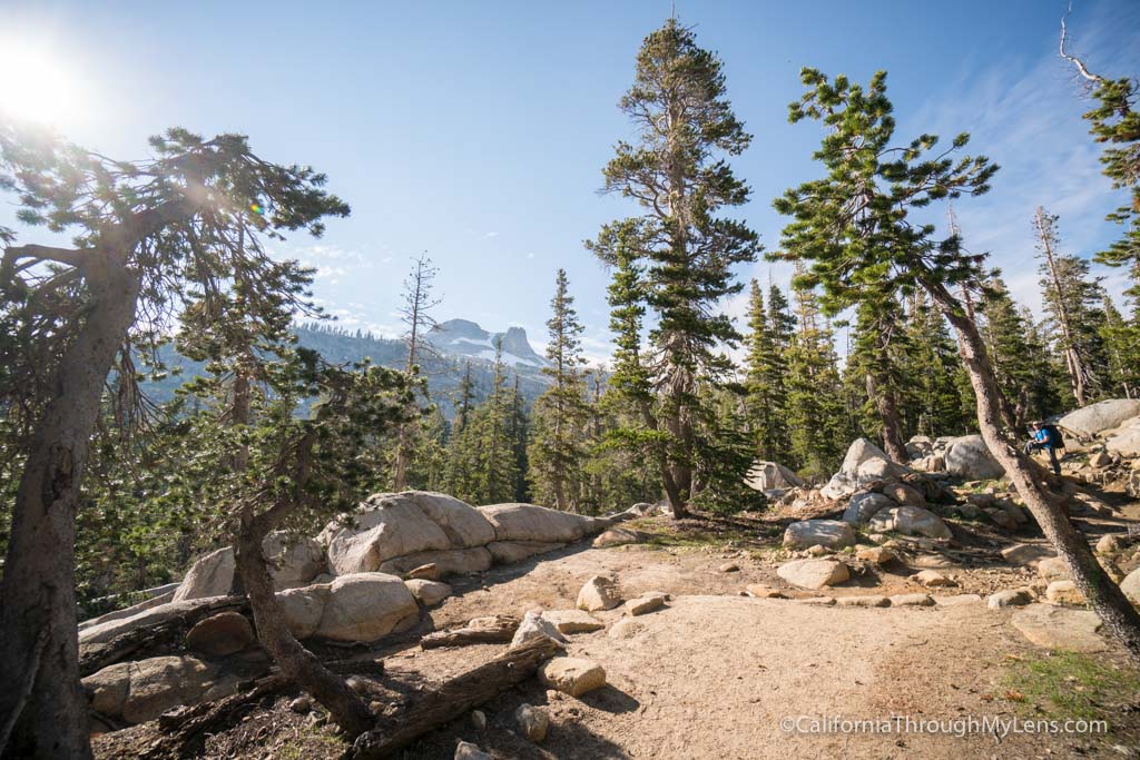May Lake: One of Yosemite High Country's Best Short Hikes - California ...