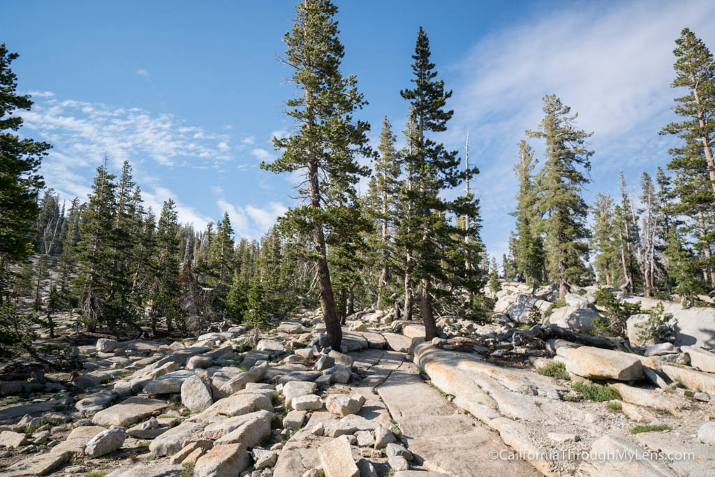 May Lake: One of Yosemite High Country's Best Short Hikes - California ...