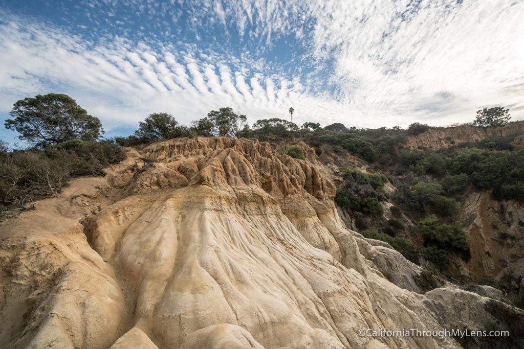 Annie’s Canyon Trail in Solana Beach - California Through My Lens