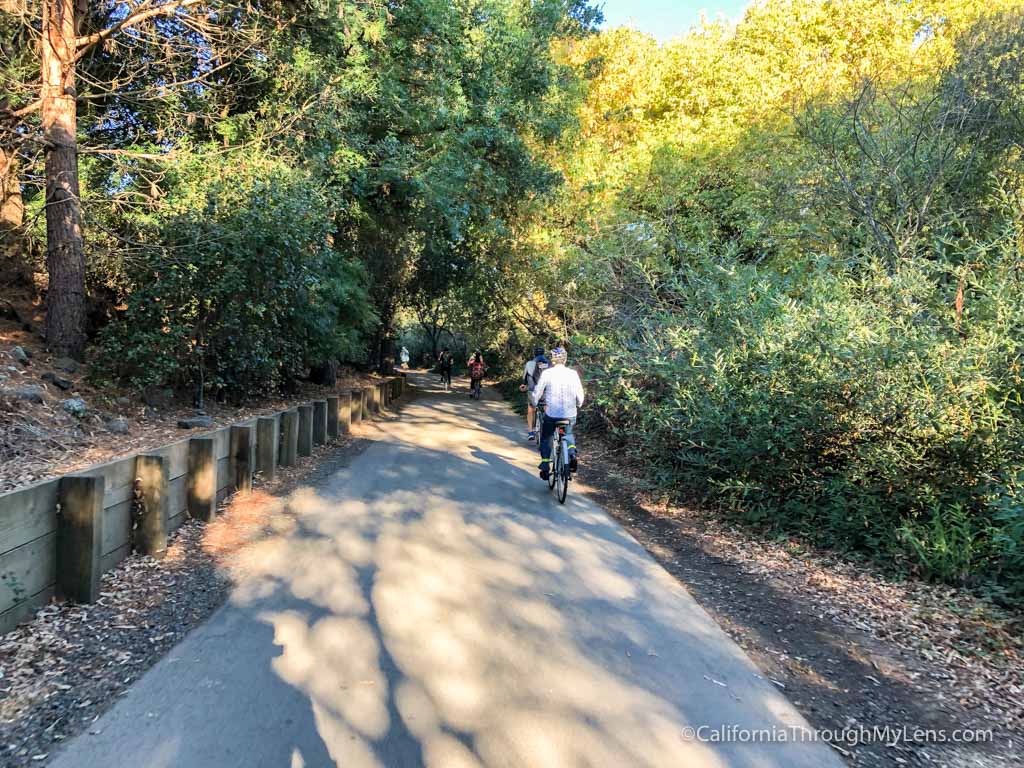 Biking in Downtown Napa Along the River Trail - California Through My Lens