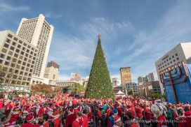Christmas in San Francisco: 15 Things to Do for the Holidays ...