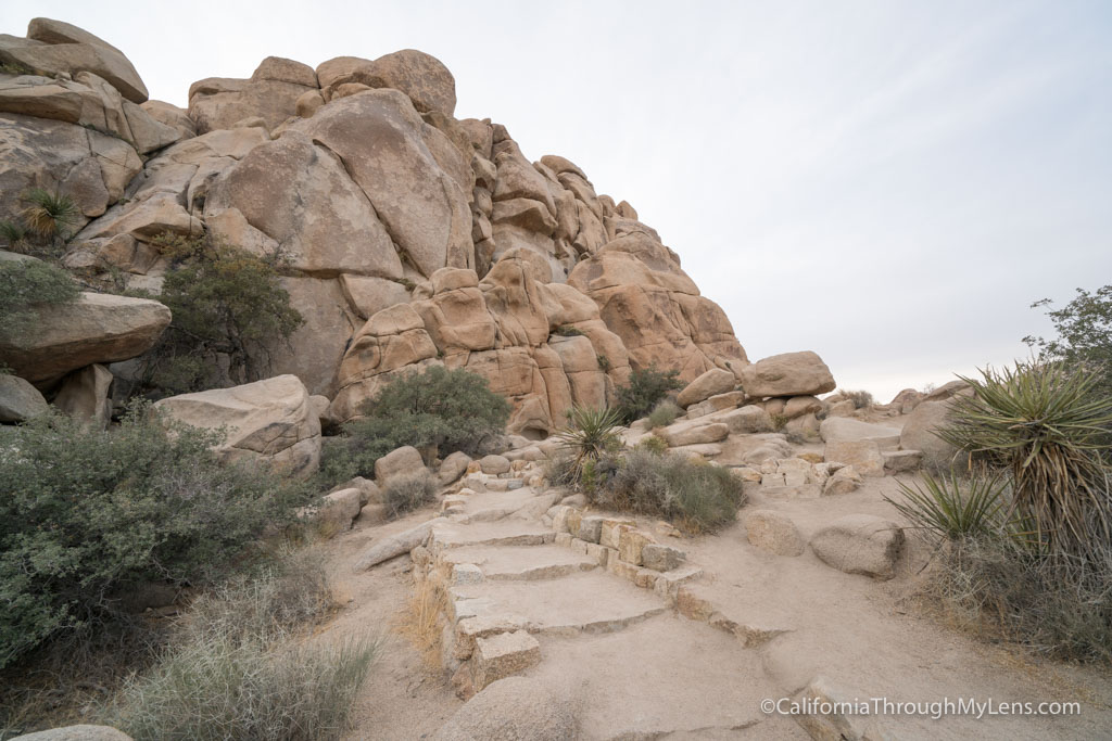 Hidden Valley Trail in Joshua Tree National Park - California Through ...
