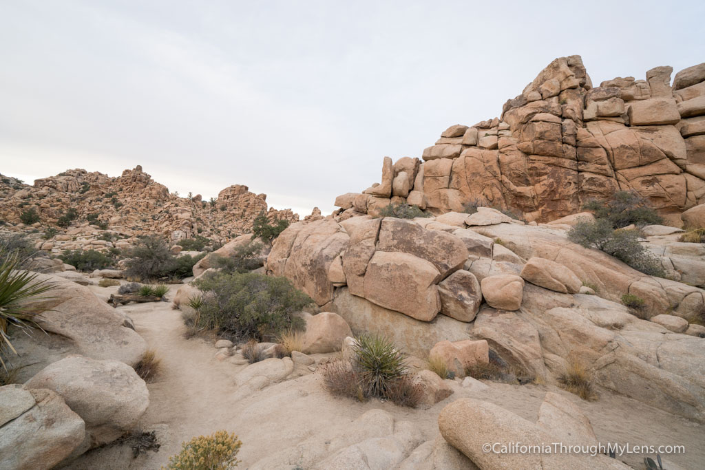 Hidden Valley Trail in Joshua Tree National Park - California Through ...