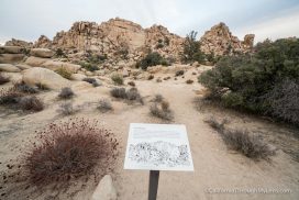 Hidden Valley Trail in Joshua Tree National Park - California Through ...