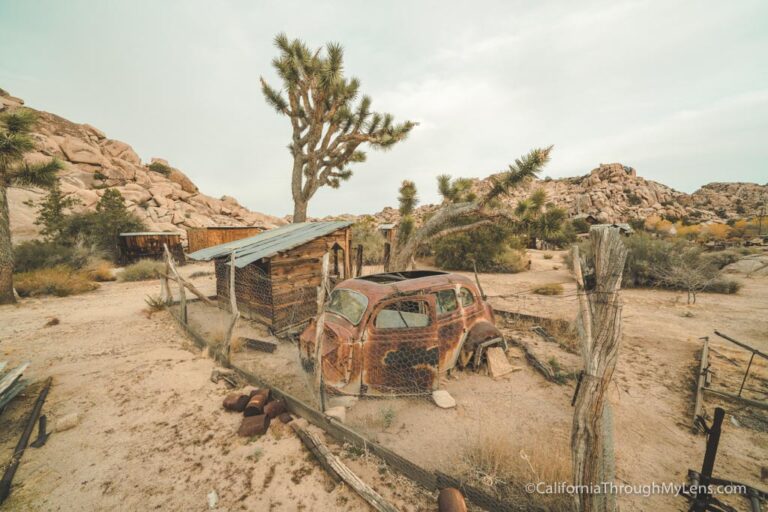 Key's Desert Queen Ranch Tour in Joshua Tree National Park - California ...