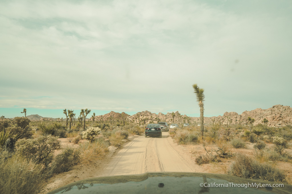 Key's Desert Queen Ranch Tour in Joshua Tree National Park - California ...