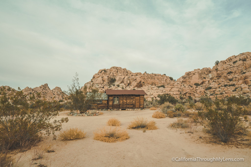 Key's Desert Queen Ranch Tour in Joshua Tree National Park - California ...