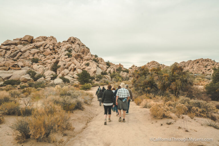 Key's Desert Queen Ranch Tour in Joshua Tree National Park - California ...
