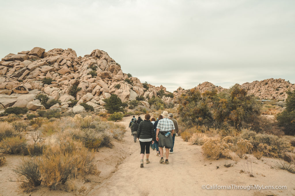 Key's Desert Queen Ranch Tour in Joshua Tree National Park - California ...
