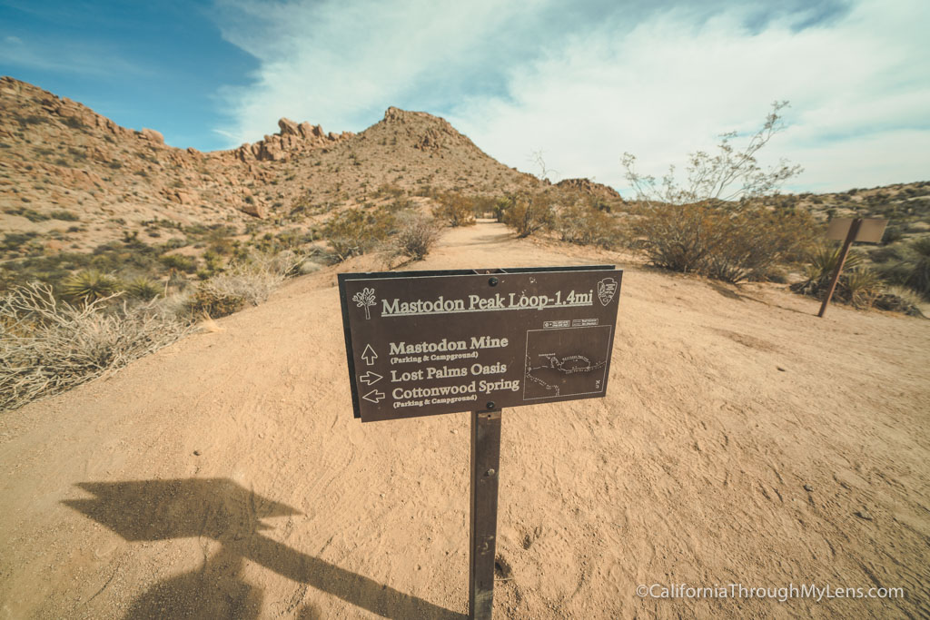 Mastodon Peak in Joshua Tree National Park - California Through My Lens