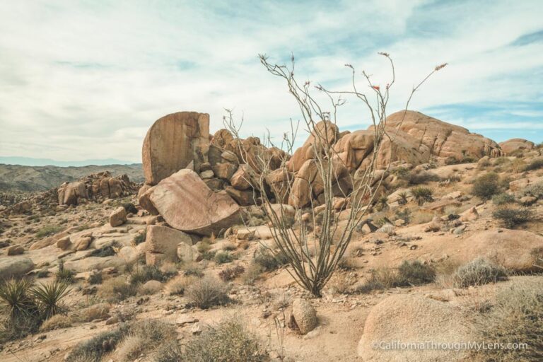 Mastodon Peak in Joshua Tree National Park - California Through My Lens