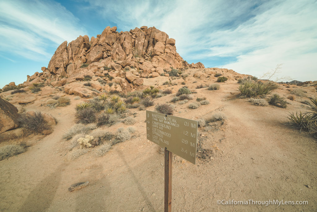 Mastodon Peak in Joshua Tree National Park - California Through My Lens