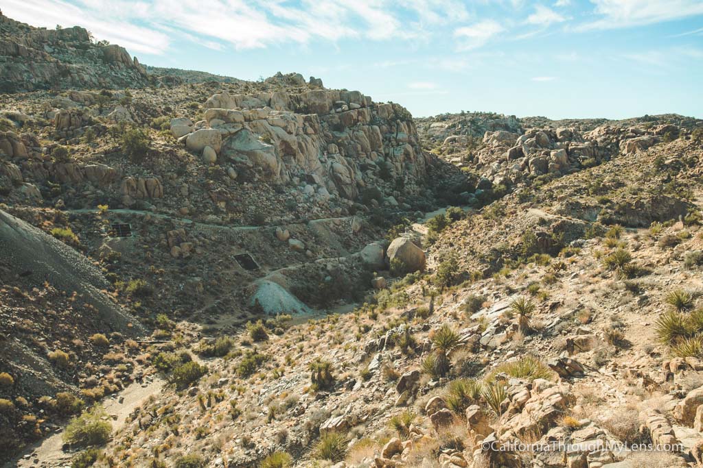 Desert Queen Mine in Joshua Tree National Park - California Through My Lens