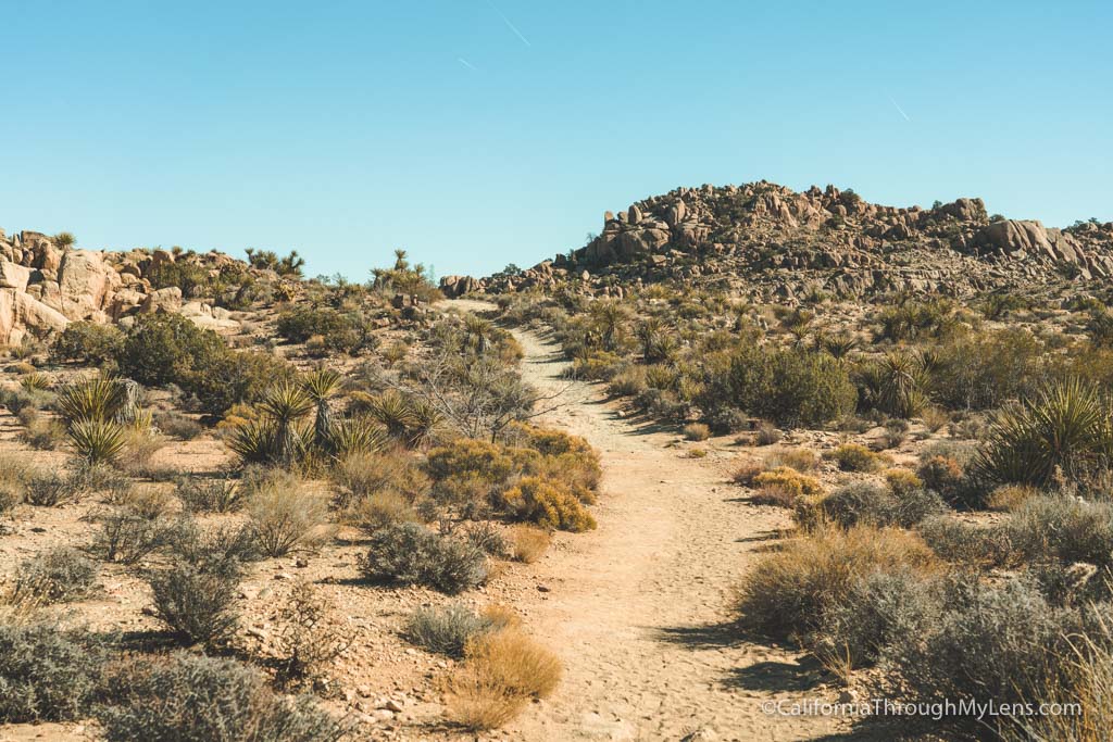 Desert Queen Mine in Joshua Tree National Park - California Through My Lens