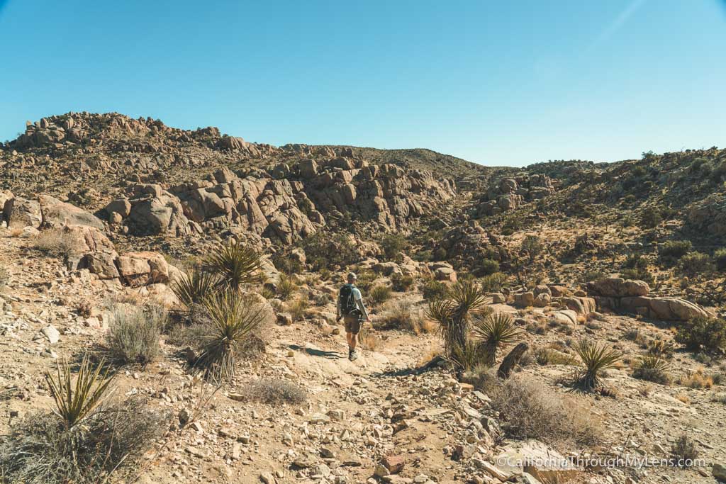 Desert Queen Mine in Joshua Tree National Park - California Through My Lens