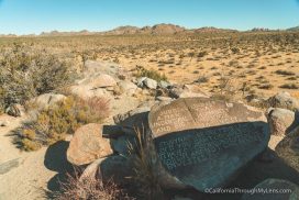 Samuelson Rocks in Joshua Tree National Park - California Through My Lens