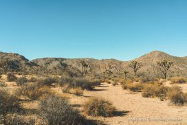 Samuelson Rocks in Joshua Tree National Park - California Through My Lens
