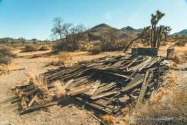 Samuelson Rocks in Joshua Tree National Park - California Through My Lens