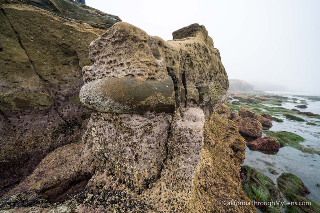 Sunset Cliffs Open Ceiling Sea Cave in San Diego - California Through ...