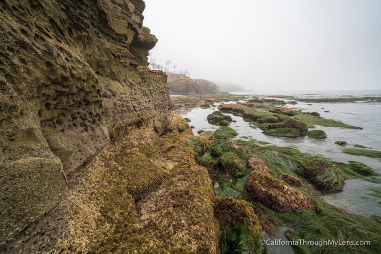 Sunset Cliffs Open Ceiling Sea Cave in San Diego - California Through ...