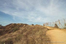 Runyon Canyon: Hollywood's Most Popular Hike - California Through My Lens
