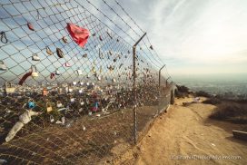 Runyon Canyon: Hollywood's Most Popular Hike - California Through My Lens