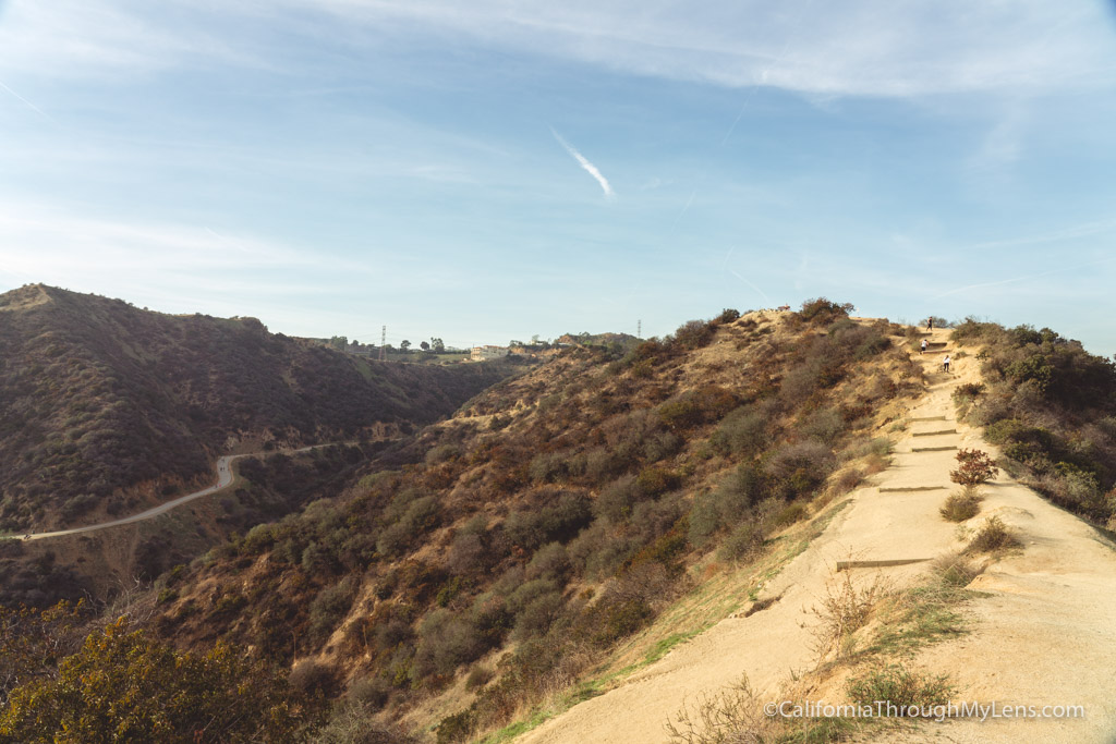 Runyon Canyon: Hollywood's Most Popular Hike - California Through My Lens