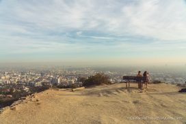 Runyon Canyon: Hollywood's Most Popular Hike - California Through My Lens