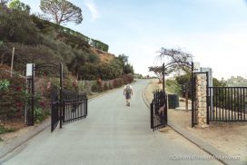 Runyon Canyon: Hollywood's Most Popular Hike - California Through My Lens