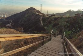 Runyon Canyon: Hollywood's Most Popular Hike - California Through My Lens