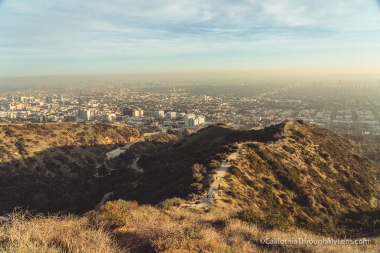 Runyon Canyon: Hollywood's Most Popular Hike - California Through My Lens