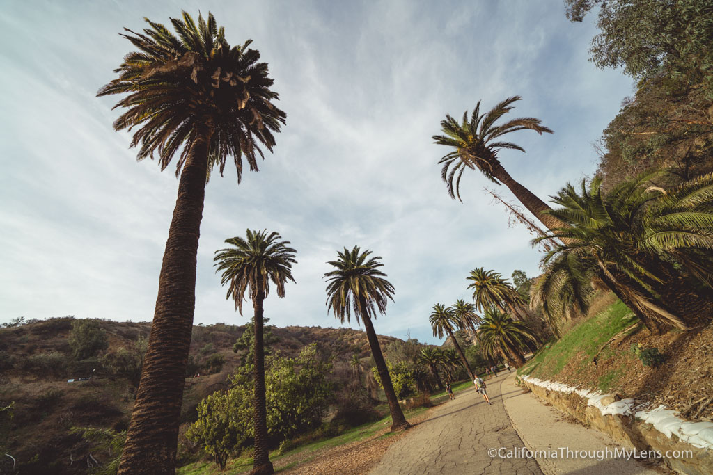 Runyon Canyon: Hollywood's Most Popular Hike - California Through My Lens